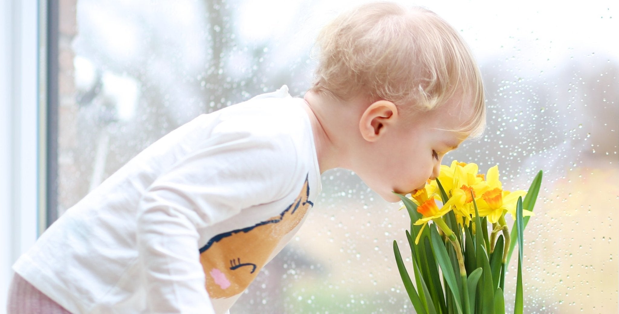 Smells Like Home – Doctor Aromas