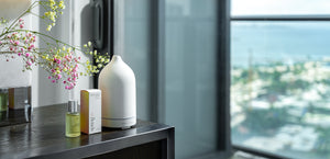 Unique Home Perfumes for your Home, Office, or Store – Doctor Aromas